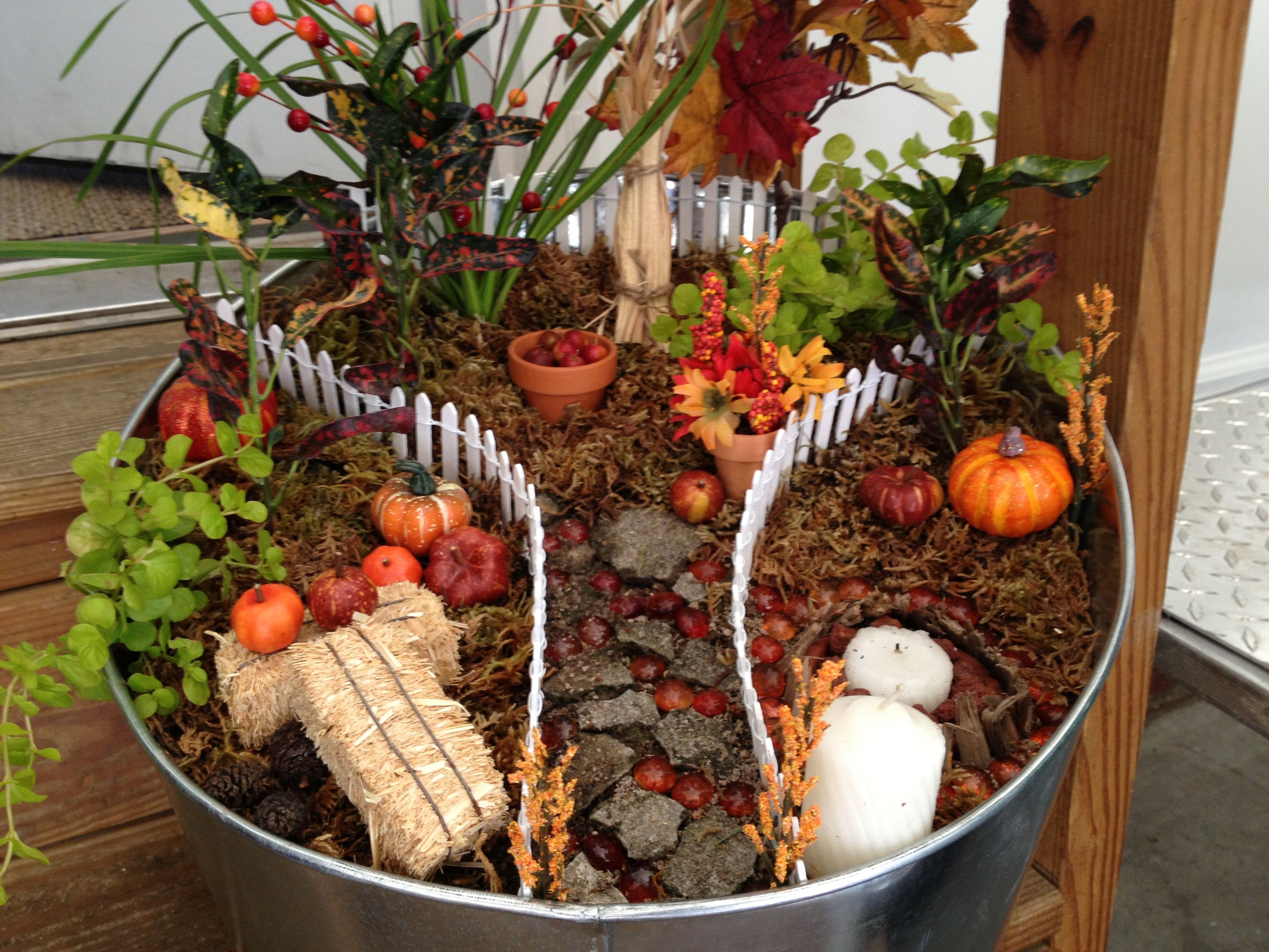 23 Fall Fairy Garden Ideas Worth a Look | SharonSable