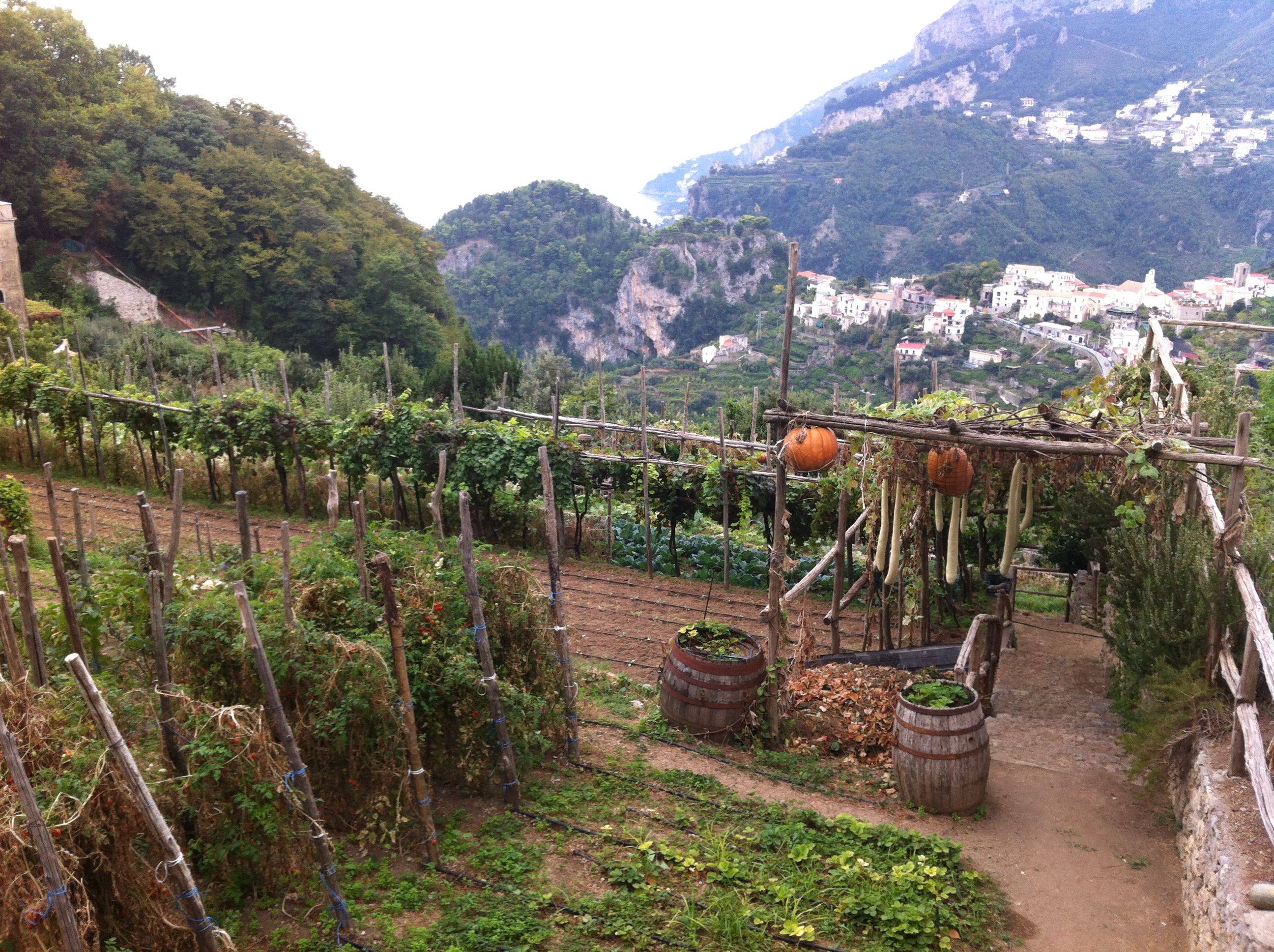 20 Ravello Garden Ideas Worth to Check | SharonSable