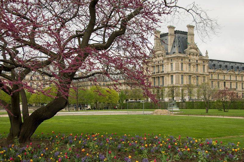 22 Tuileries Garden Ideas You Should Check | SharonSable