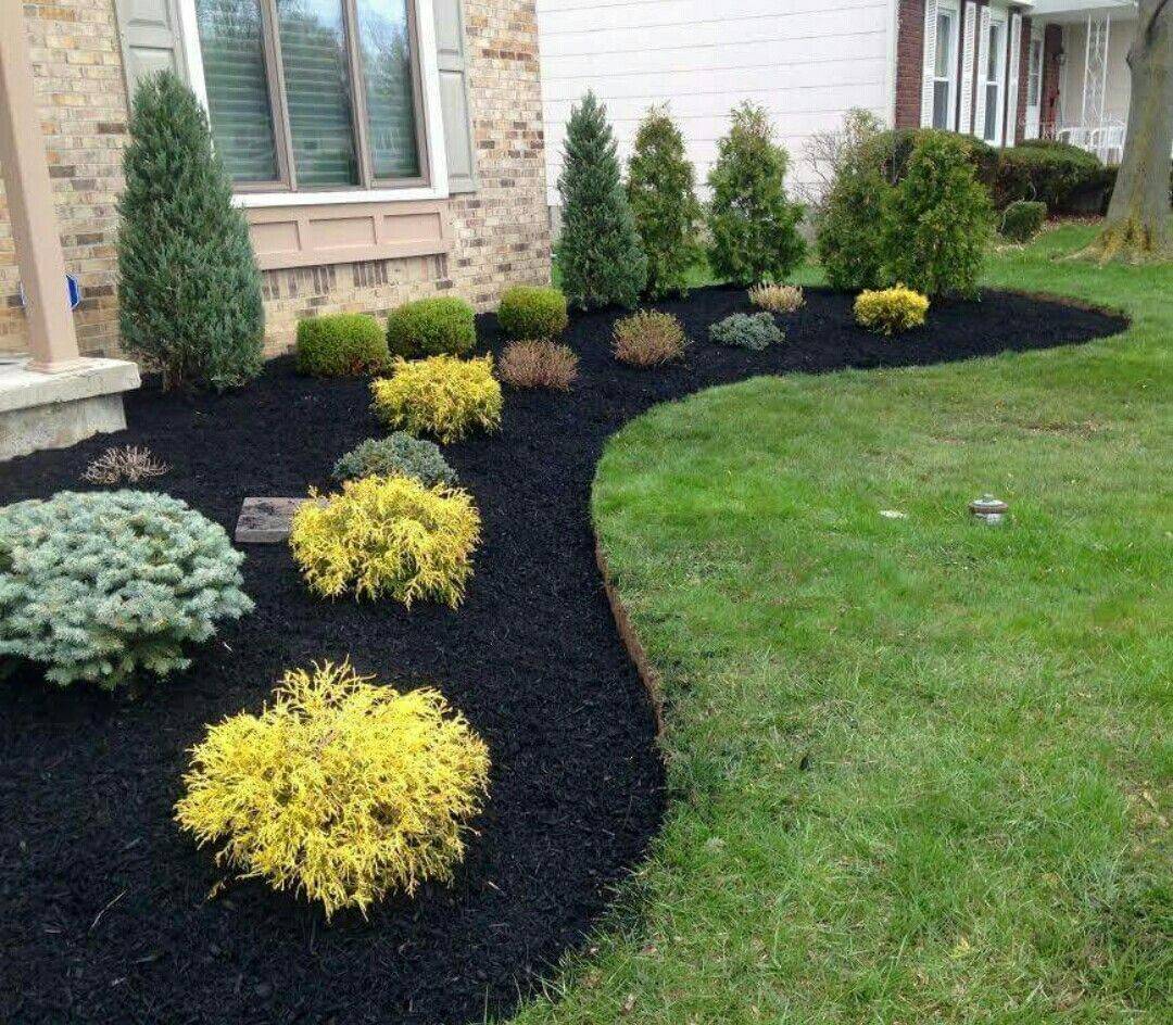 23 Front Garden Hedge Ideas You Gonna Love | SharonSable