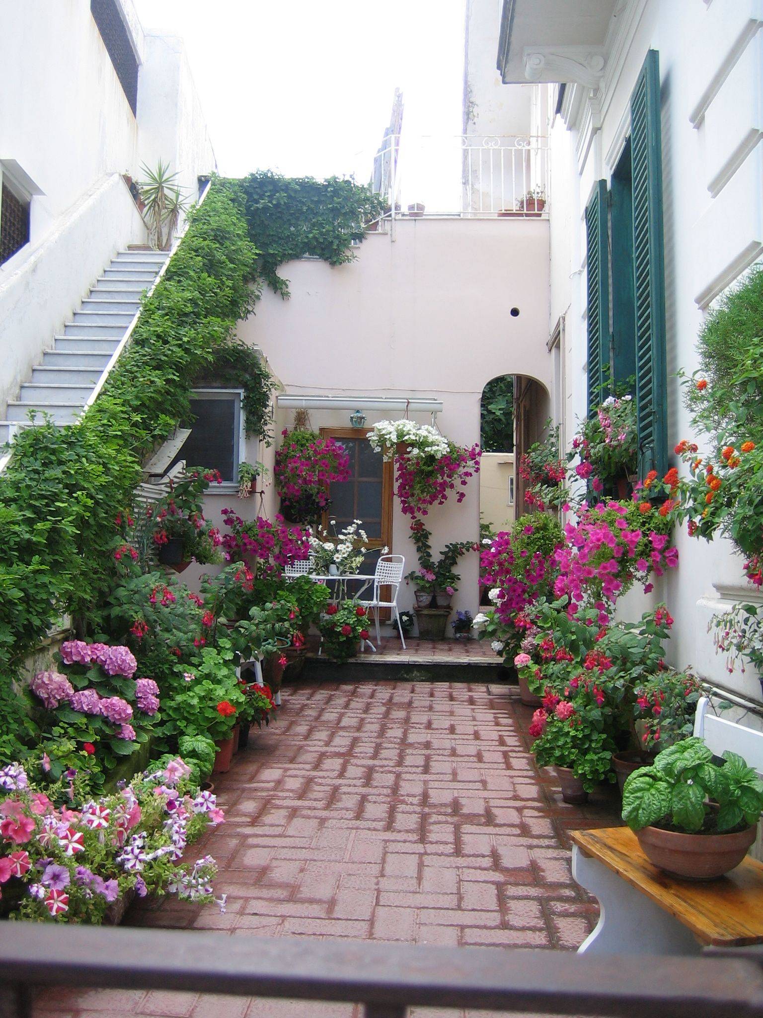 24 Capri Garden Ideas You Cannot Miss | SharonSable