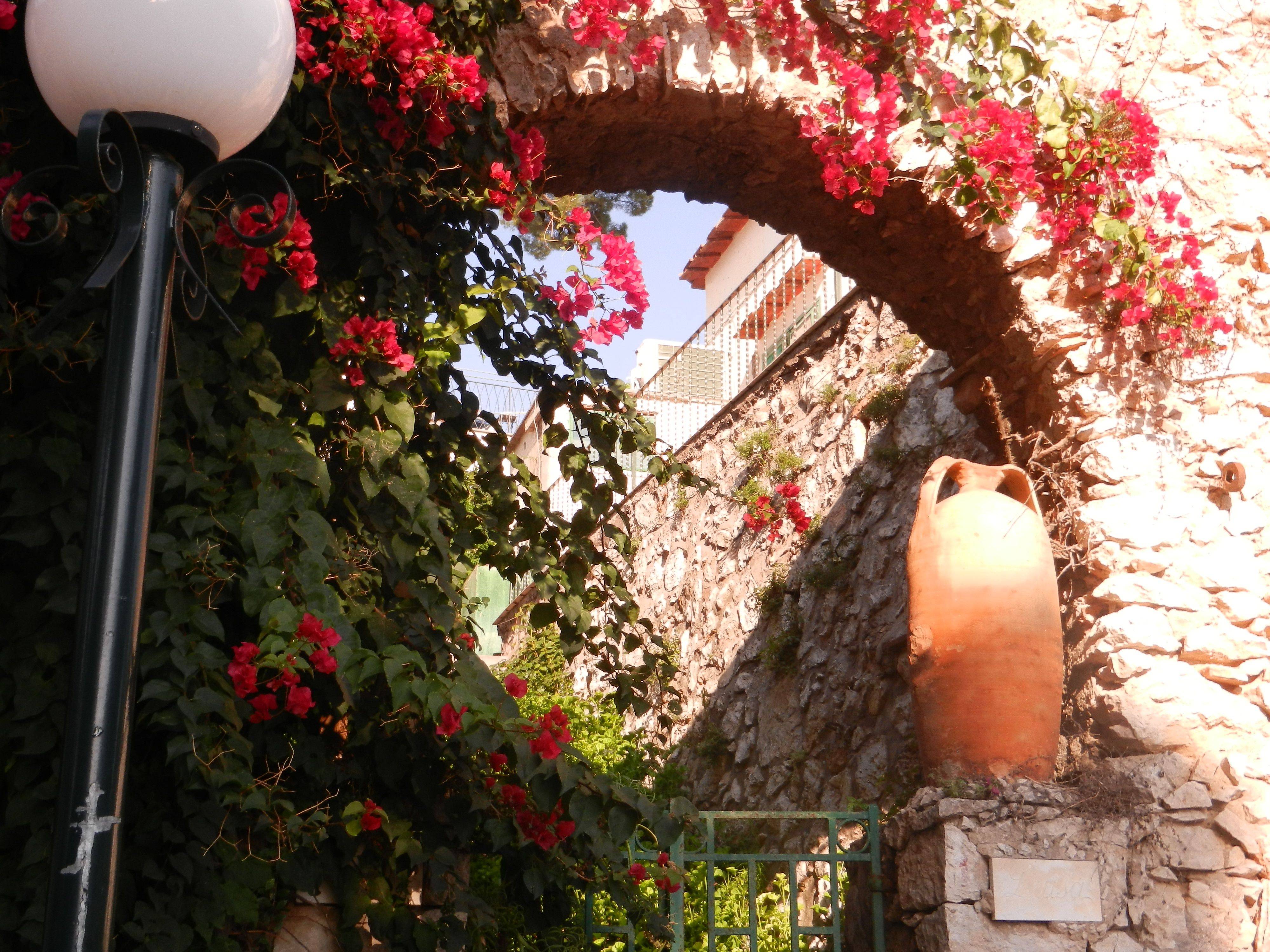 24 Capri Garden Ideas You Cannot Miss | SharonSable