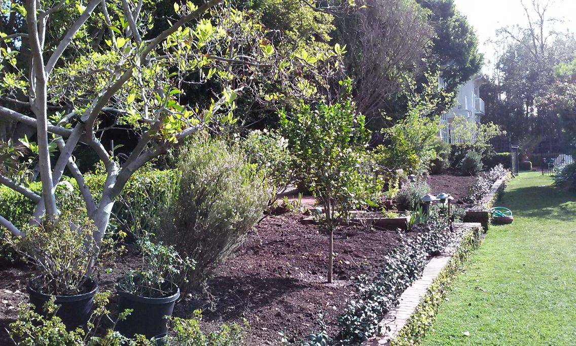 24 Capri Garden Ideas You Cannot Miss | SharonSable