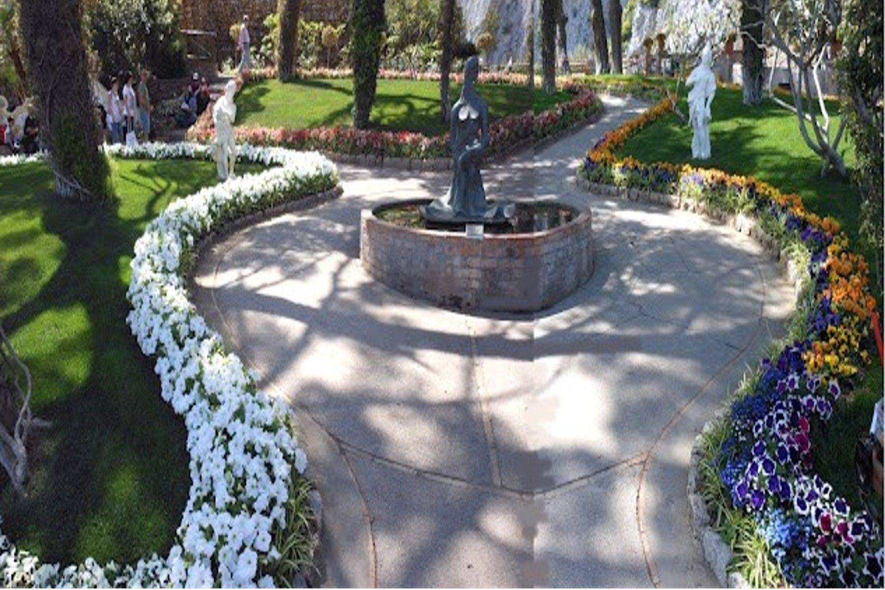 24 Capri Garden Ideas You Cannot Miss | SharonSable