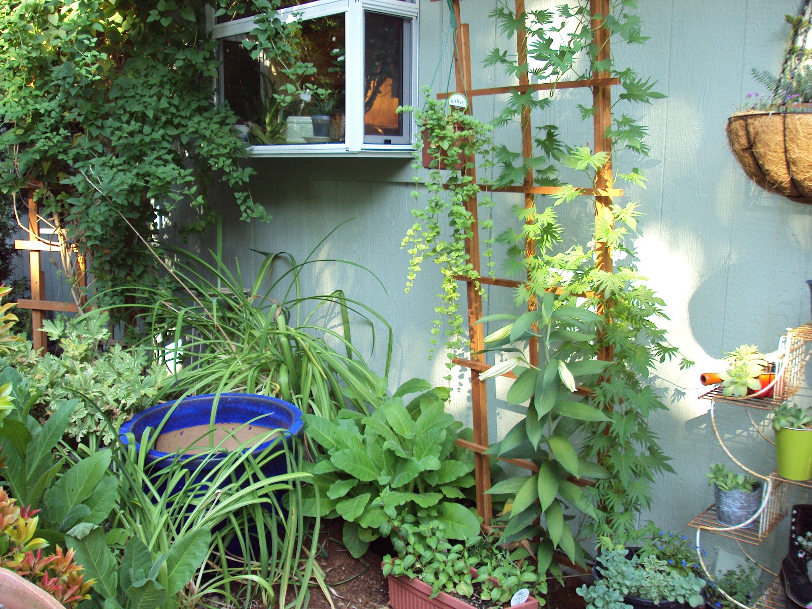 25 Garden Focal Point Plants Ideas You Should Look | SharonSable