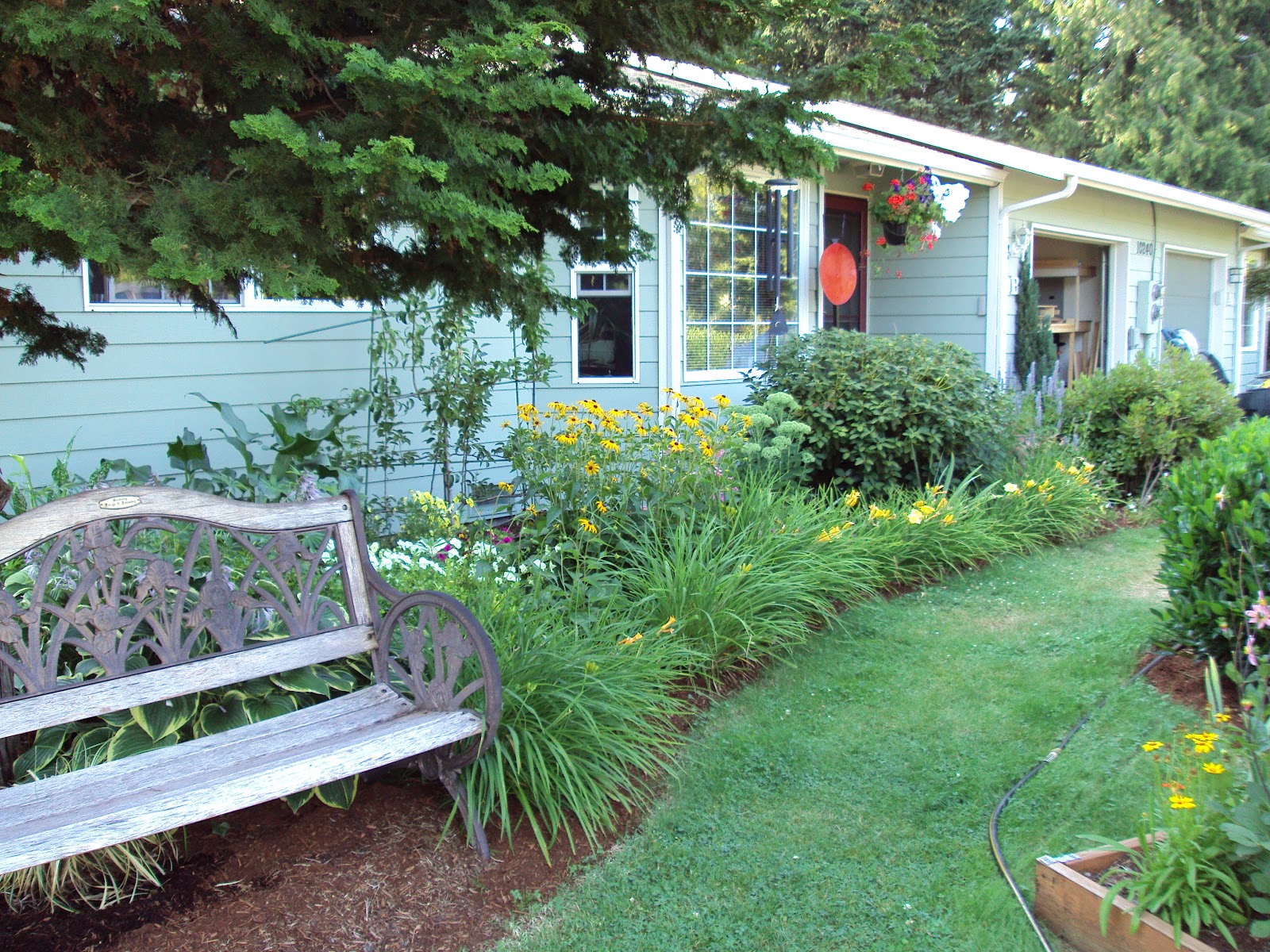 25 Garden Focal Point Plants Ideas You Should Look | SharonSable