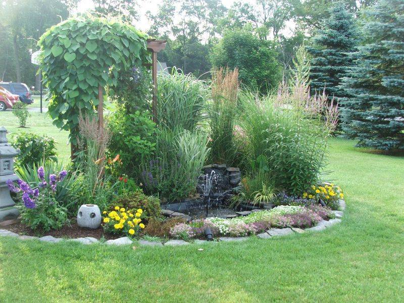 25 Garden Focal Point Plants Ideas You Should Look | SharonSable