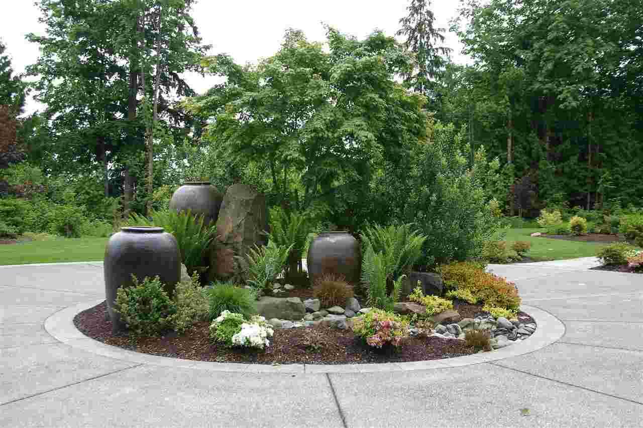 25 Garden Focal Point Plants Ideas You Should Look | SharonSable
