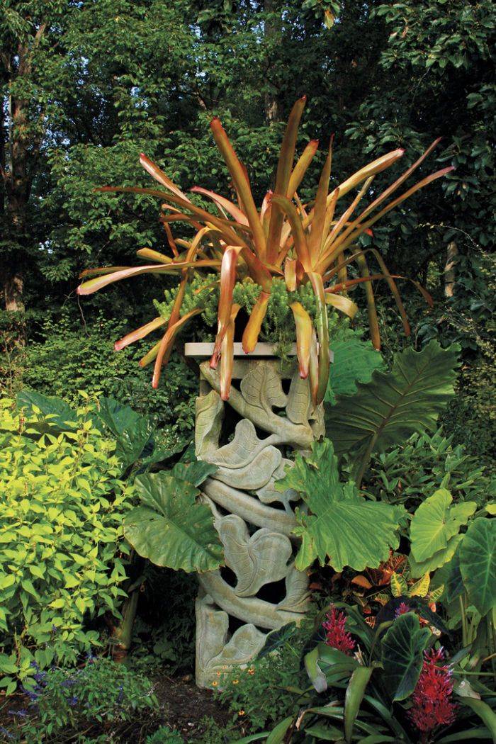 25 Garden Focal Point Plants Ideas You Should Look | SharonSable