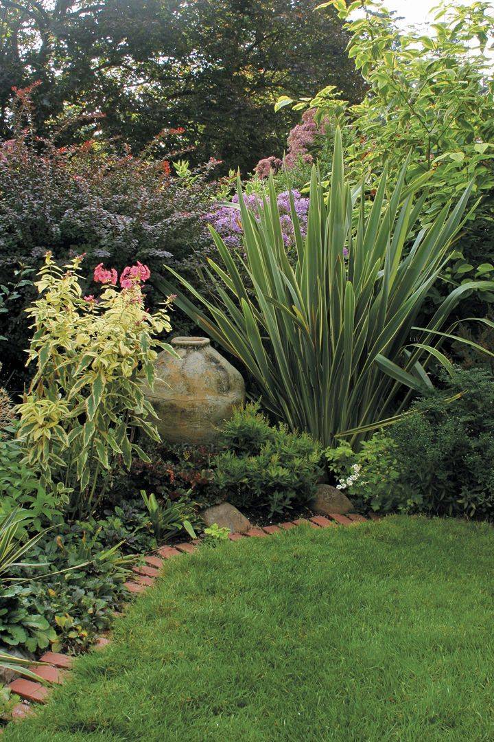 25 Garden Focal Point Plants Ideas You Should Look | SharonSable