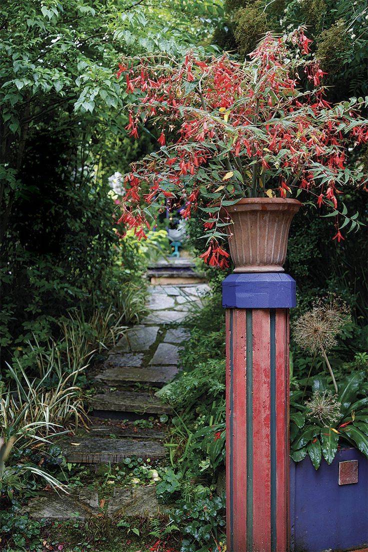 25 Garden Focal Point Plants Ideas You Should Look | SharonSable