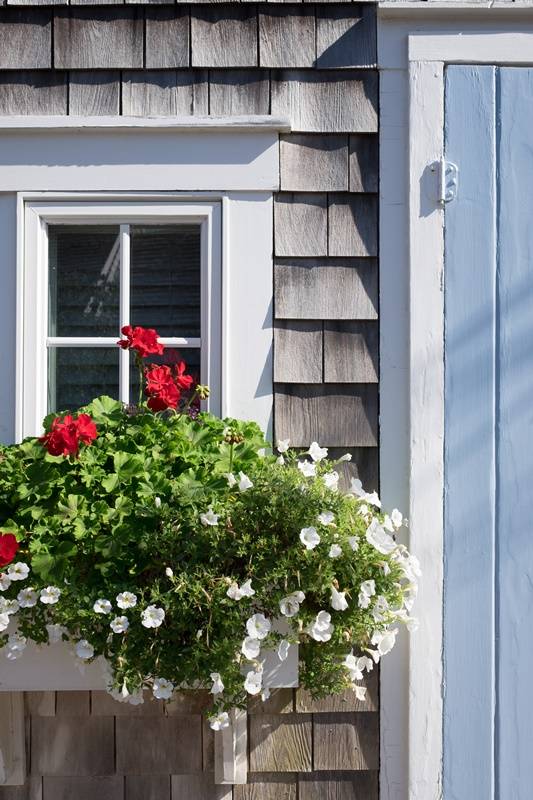 23 Kitchen Window Garden Box Ideas For This Year | SharonSable