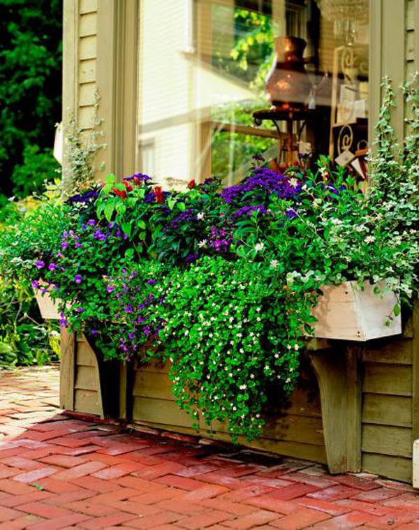 23 Kitchen Window Garden Box Ideas For This Year | SharonSable