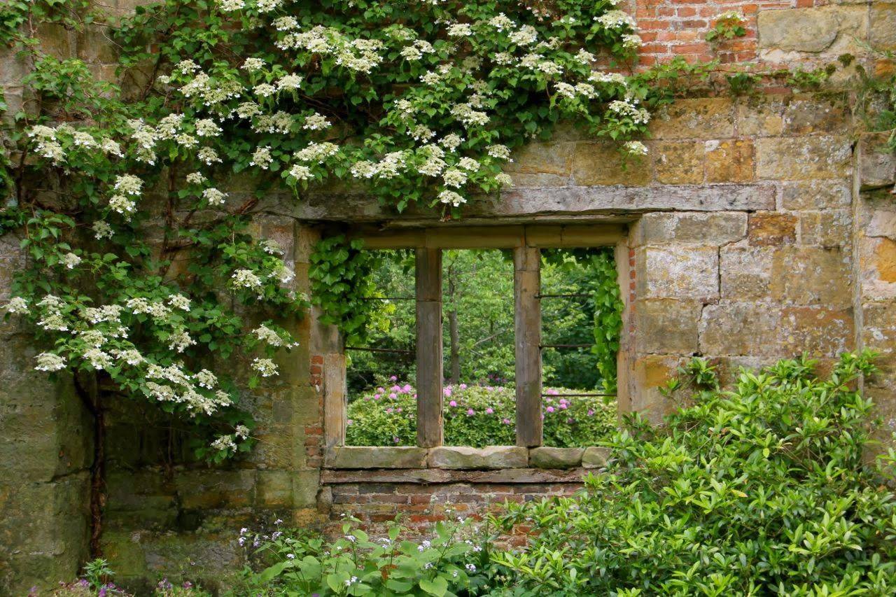 18 Window Garden View Ideas You Cannot Miss | SharonSable