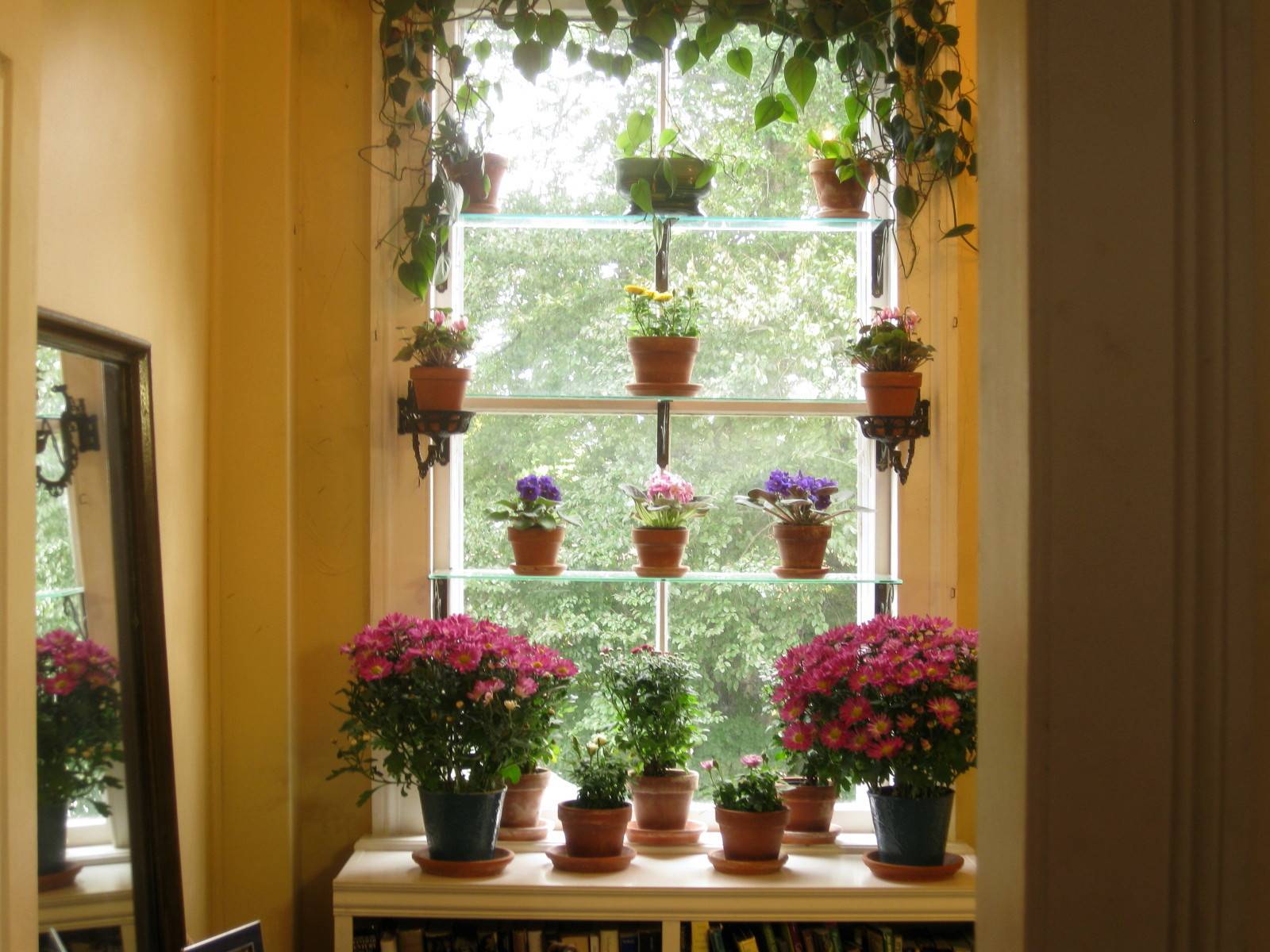 19 Garden Window Scenes Ideas You Must Look | SharonSable