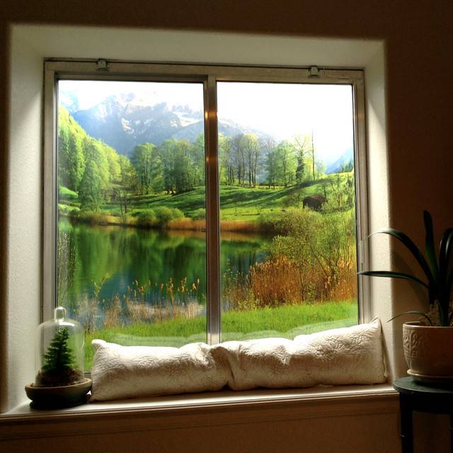 19 Garden Window Scenes Ideas You Must Look | SharonSable