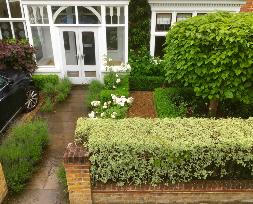 19 Edwardian Garden Ideas Worth a Look | SharonSable