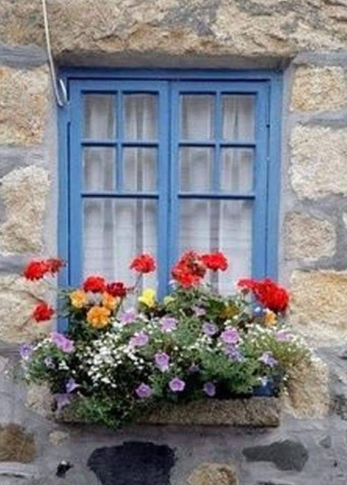 24 Cottage Garden Window Boxes Ideas To Consider | SharonSable