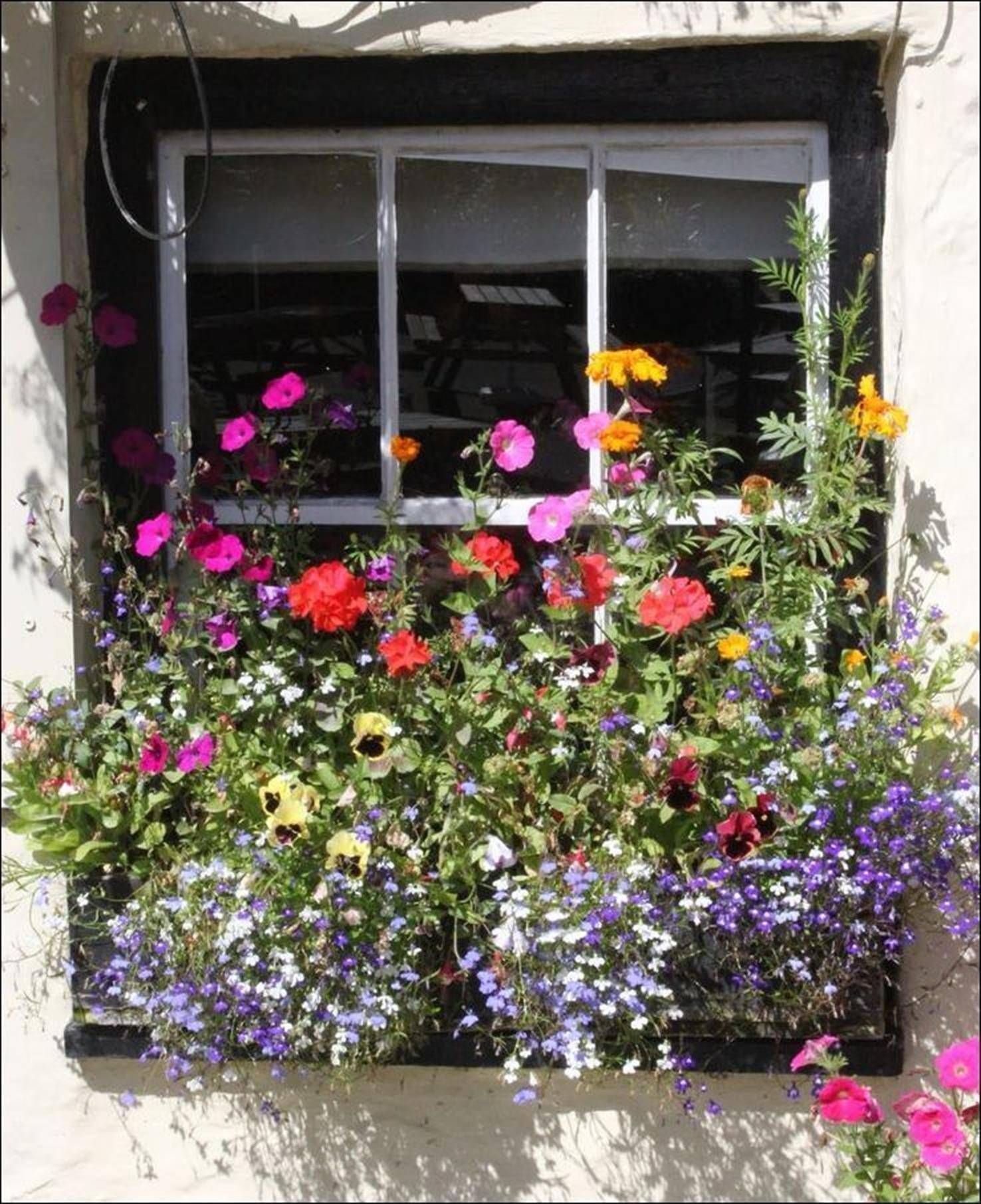 24 Cottage Garden Window Boxes Ideas To Consider | SharonSable