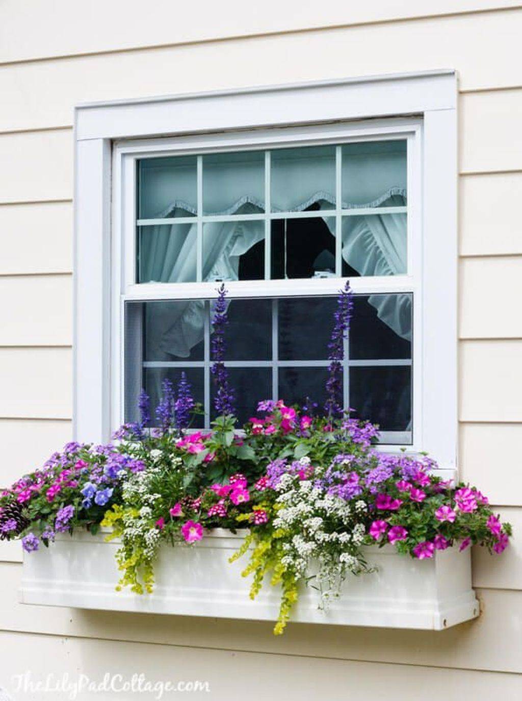 24 Cottage Garden Window Boxes Ideas To Consider | SharonSable