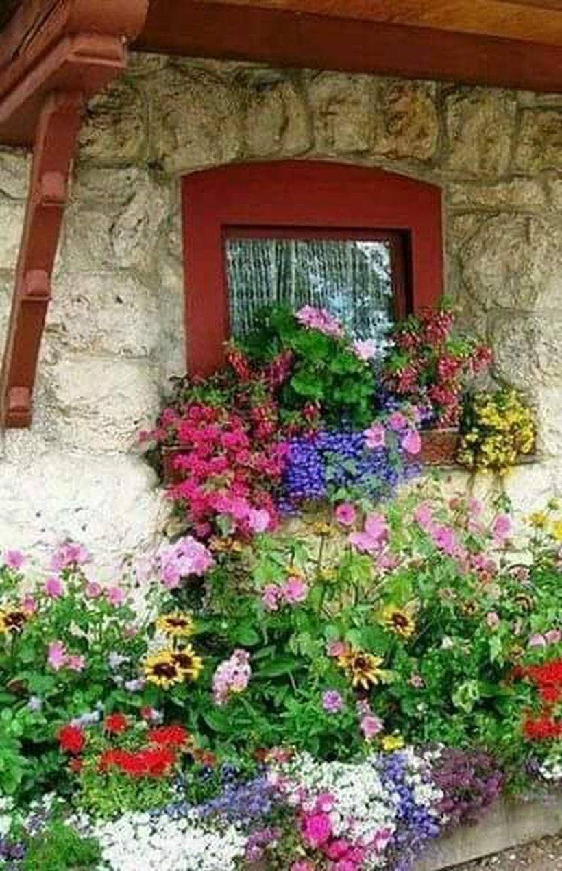 24 Cottage Garden Window Boxes Ideas To Consider | SharonSable