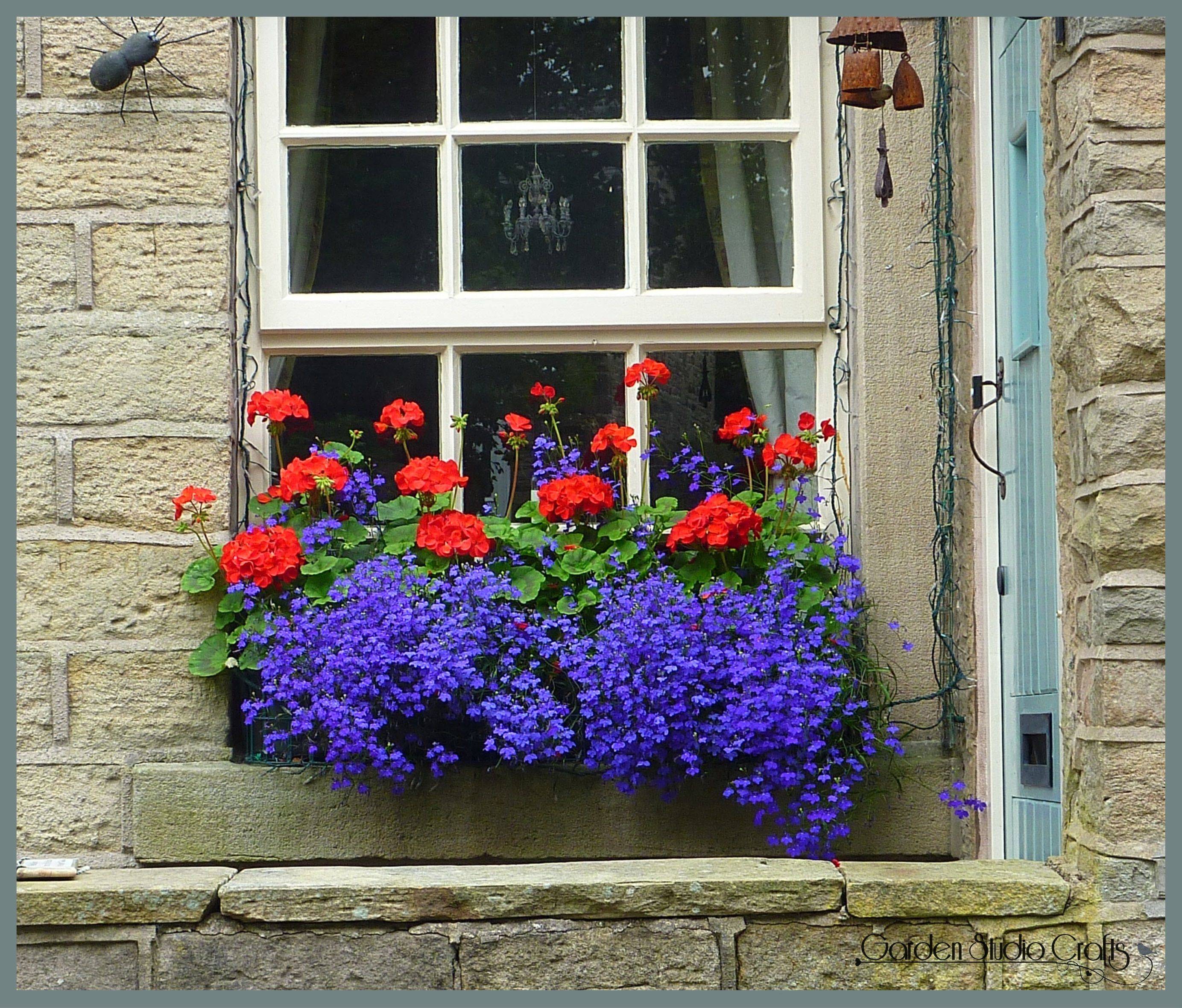 24 Cottage Garden Window Boxes Ideas To Consider | SharonSable
