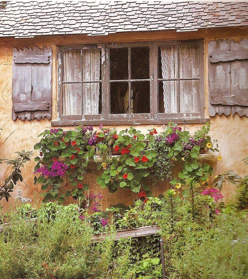 24 Cottage Garden Window Boxes Ideas To Consider | SharonSable