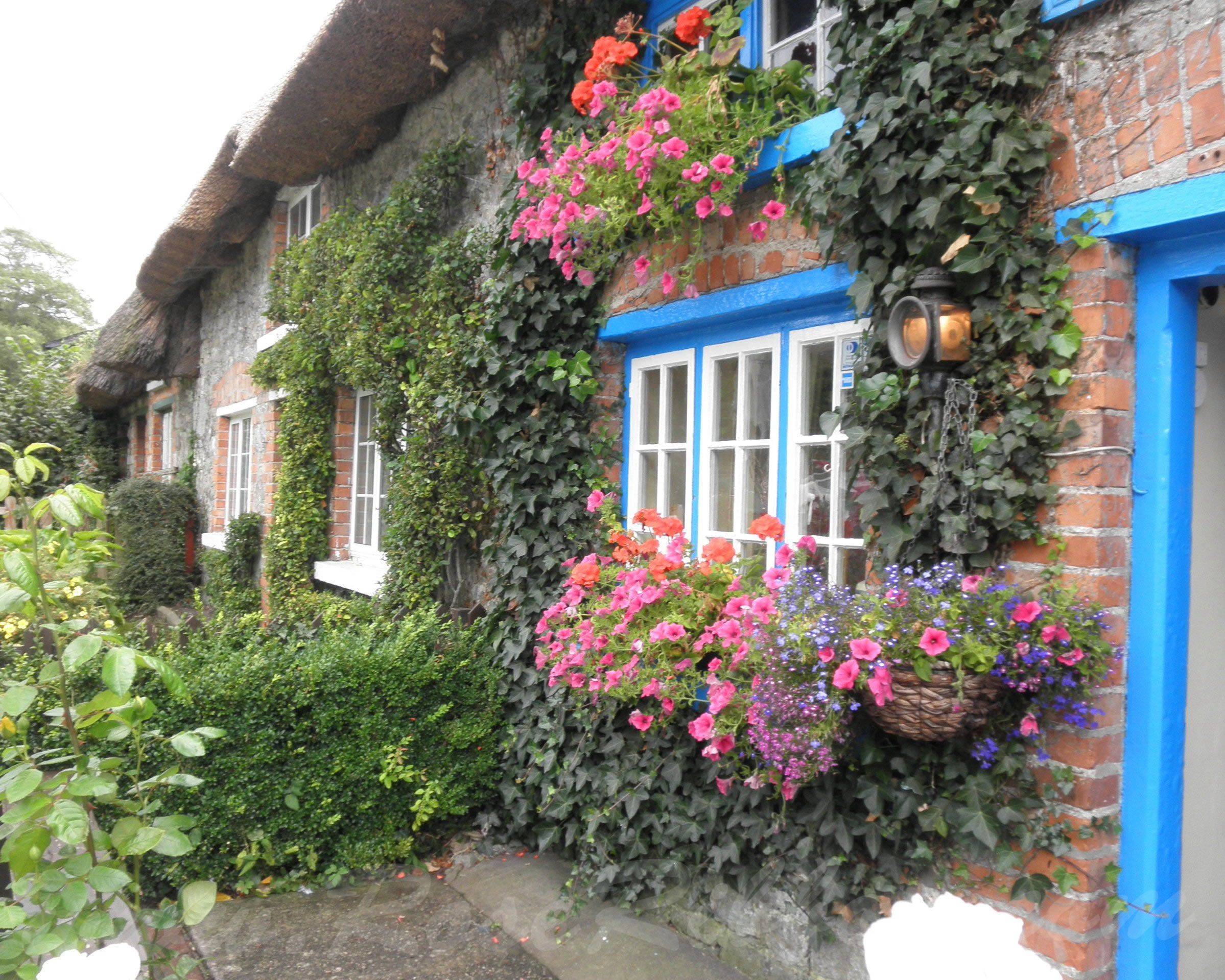 24 Cottage Garden Window Boxes Ideas To Consider | SharonSable
