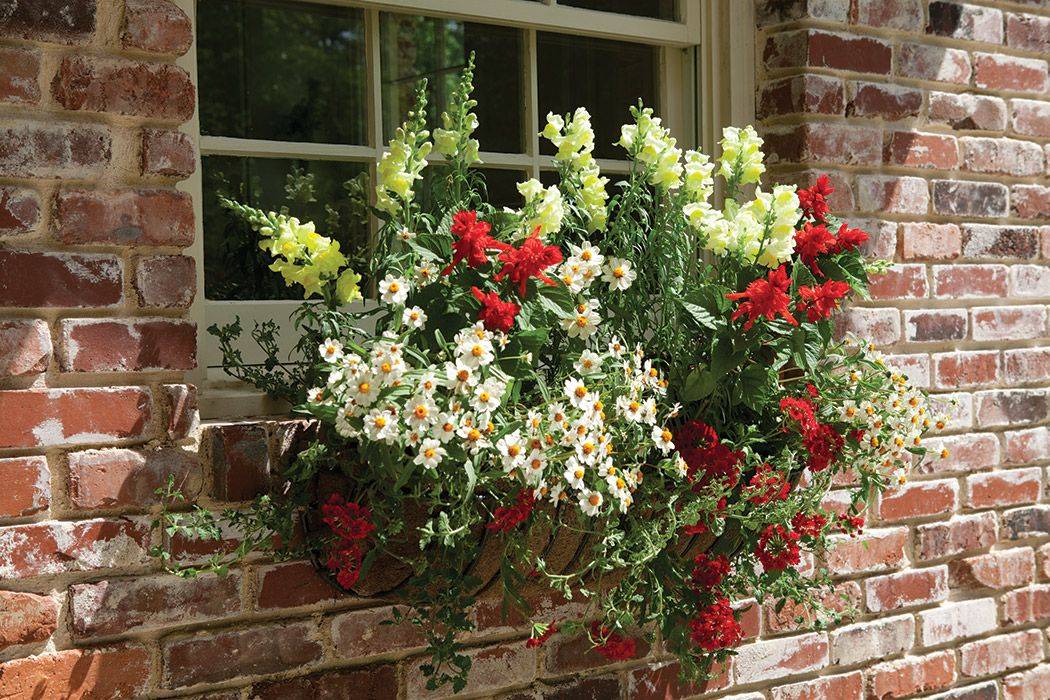 24 Cottage Garden Window Boxes Ideas To Consider | SharonSable
