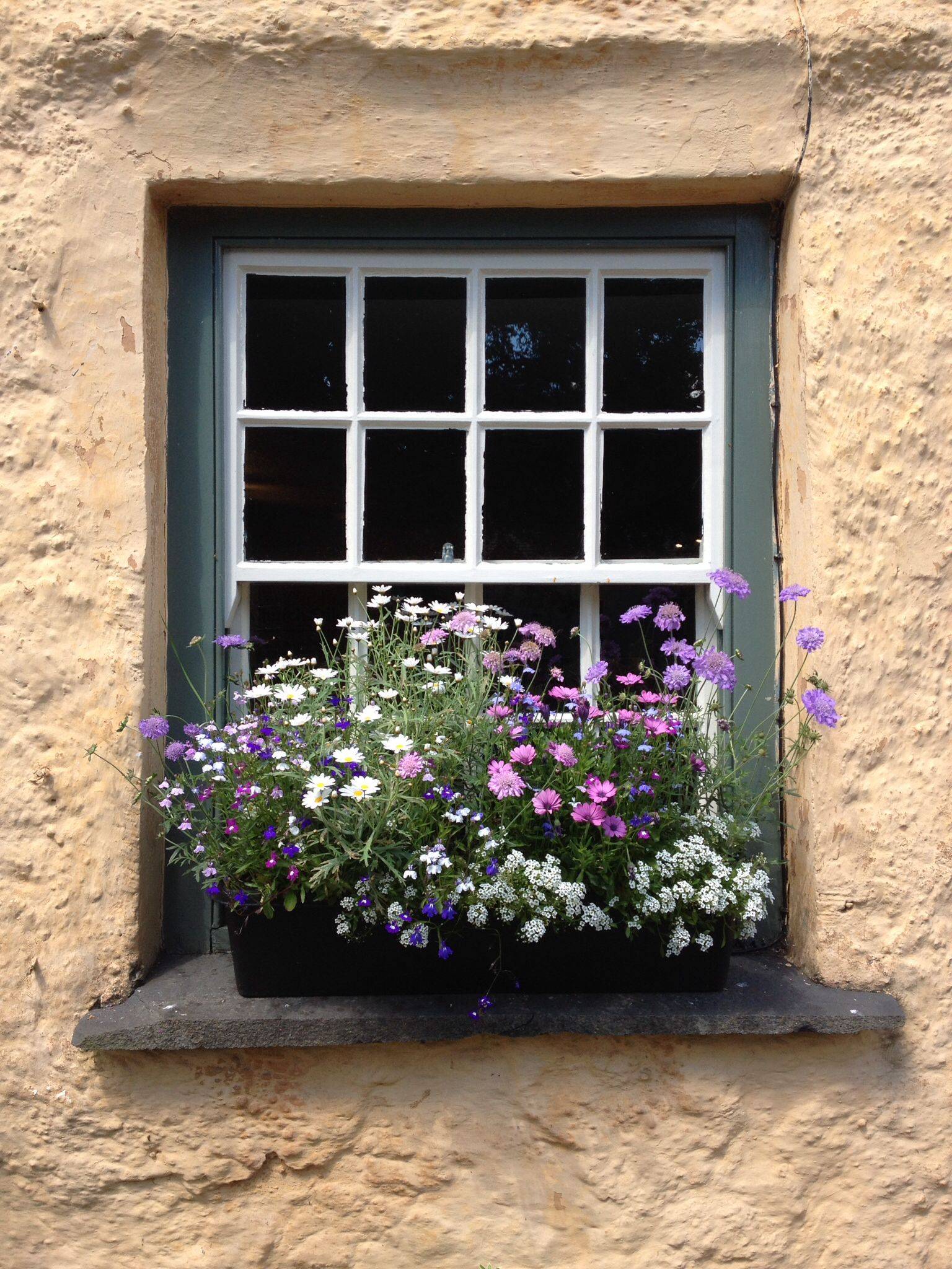 24 Cottage Garden Window Boxes Ideas To Consider | SharonSable