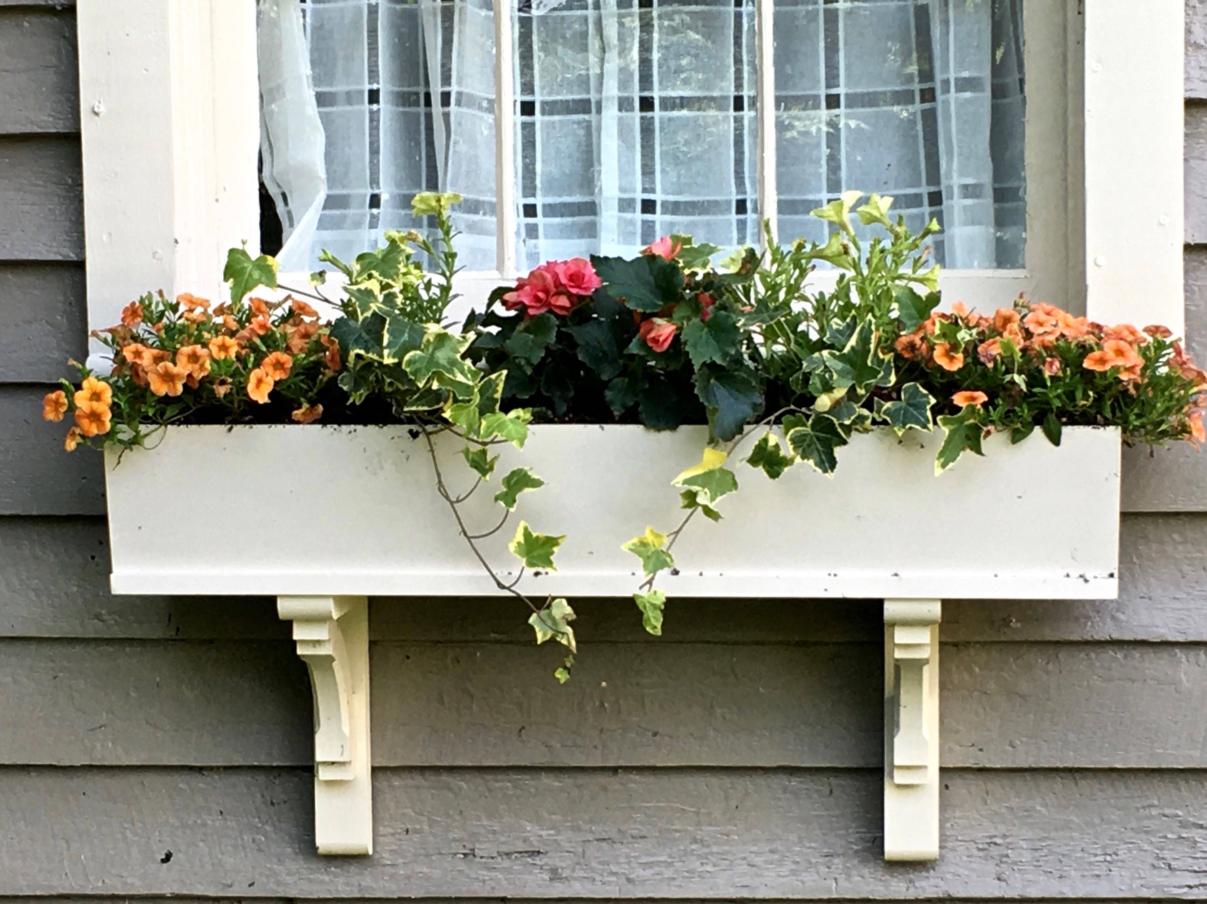 24 Cottage Garden Window Boxes Ideas To Consider | SharonSable