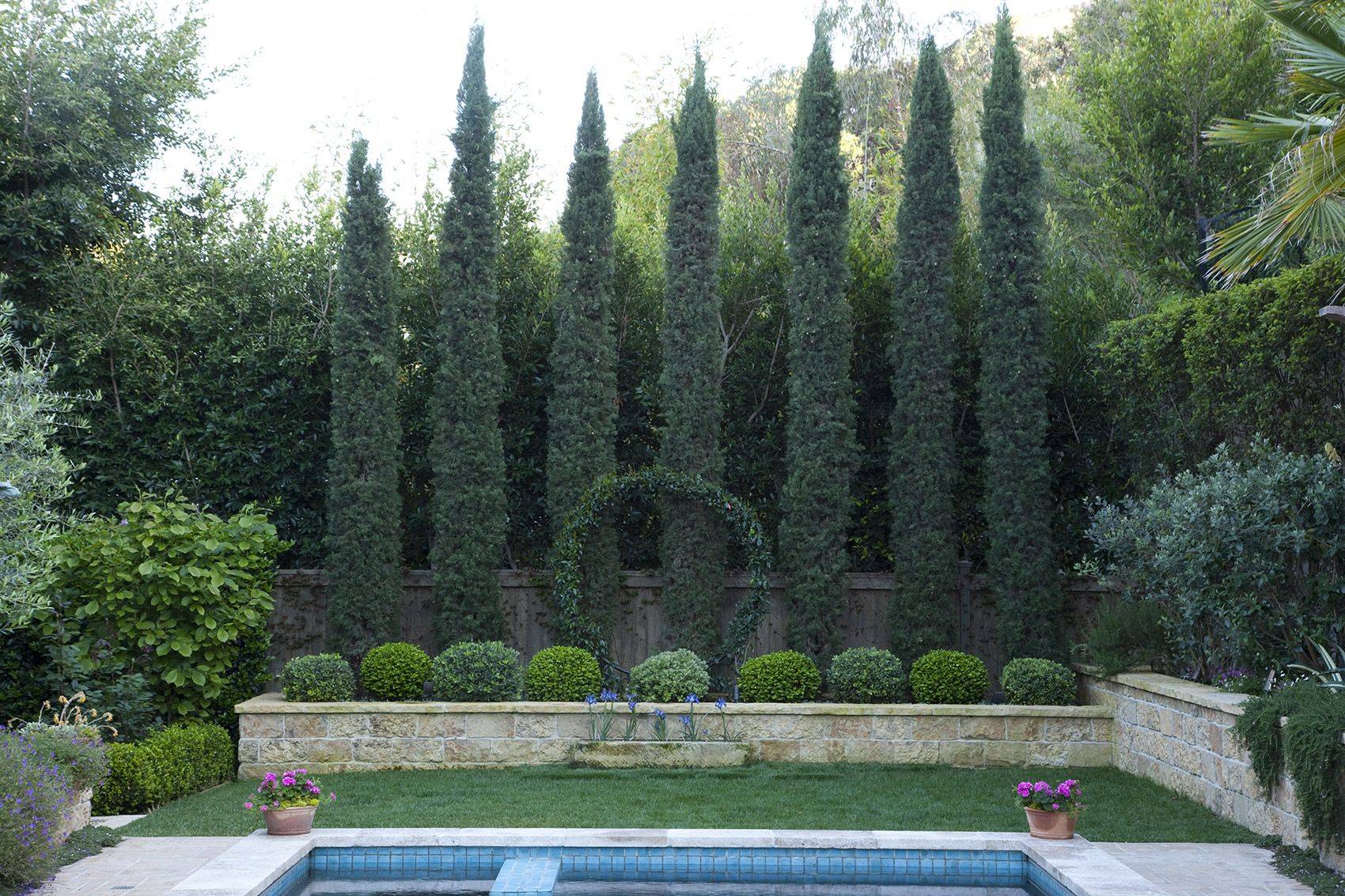 24 Italian Cypress Trees Garden Ideas You Gonna Love | SharonSable