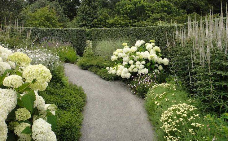 25 Sissinghurst White Garden Ideas You Cannot Miss | SharonSable