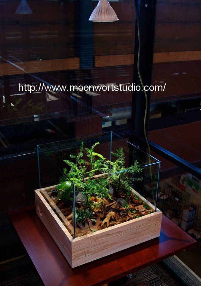 13 The Reef Vent Garden Ideas Worth to Check | SharonSable