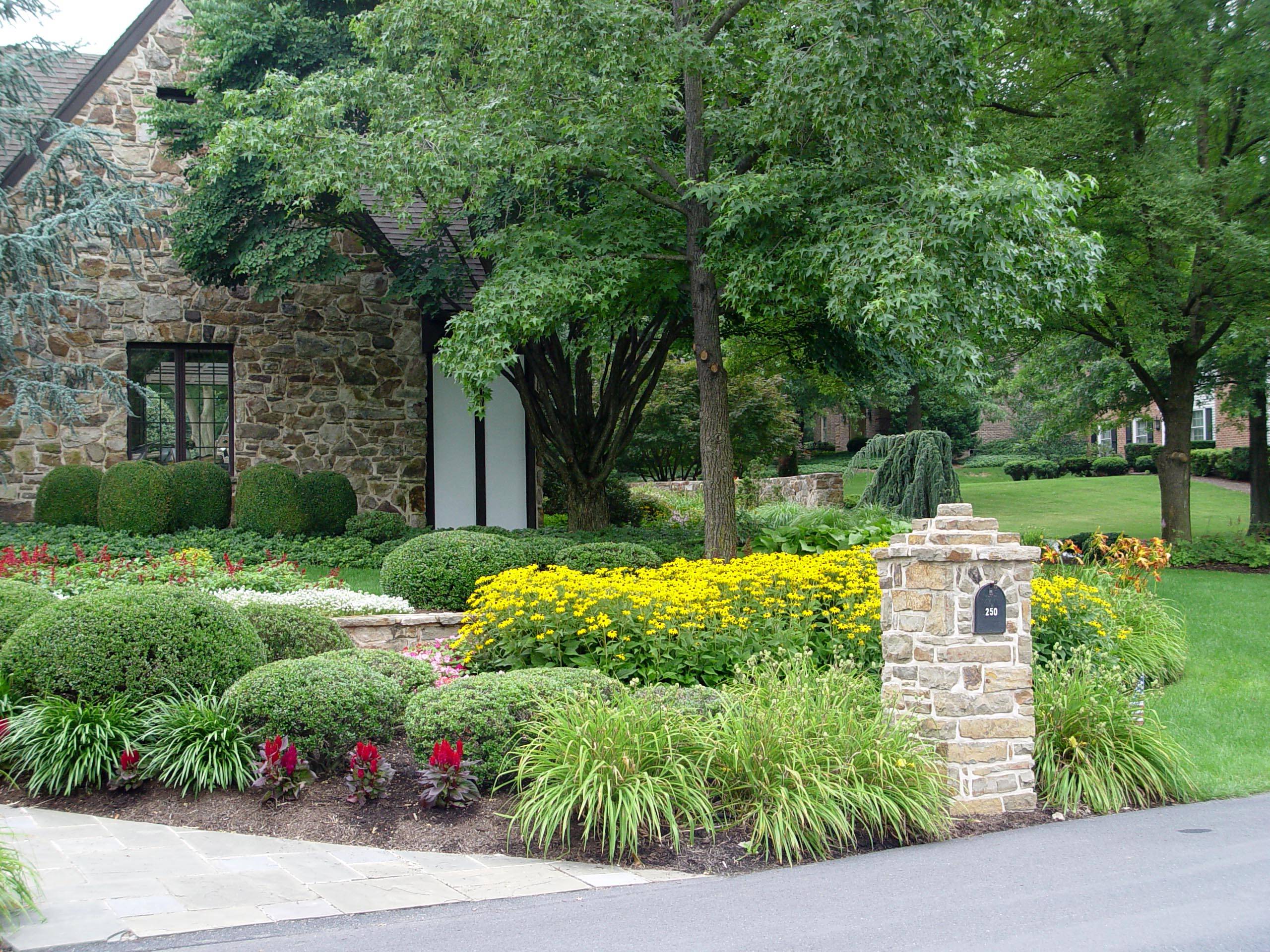 19 Best Feature Tree On Front Garden Ideas For This Year | SharonSable