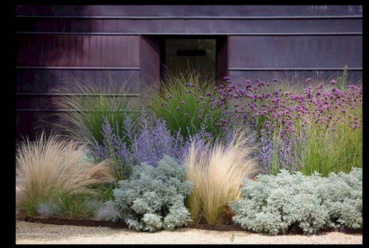 19 Italian Cypress and Lavender Garden Ideas To Try This Year | SharonSable