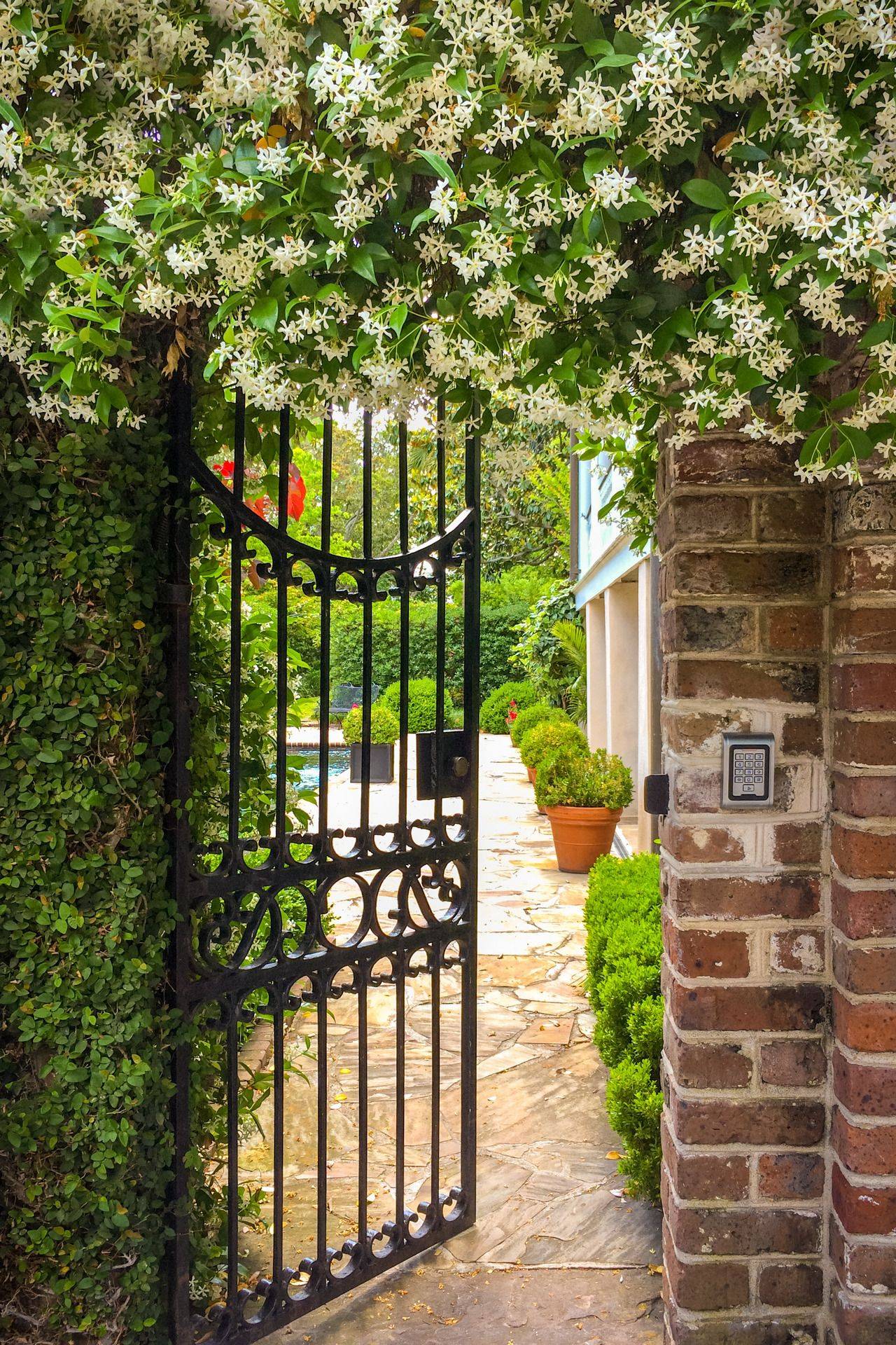 23 Garden Gates Charleston SC Ideas Worth a Look | SharonSable