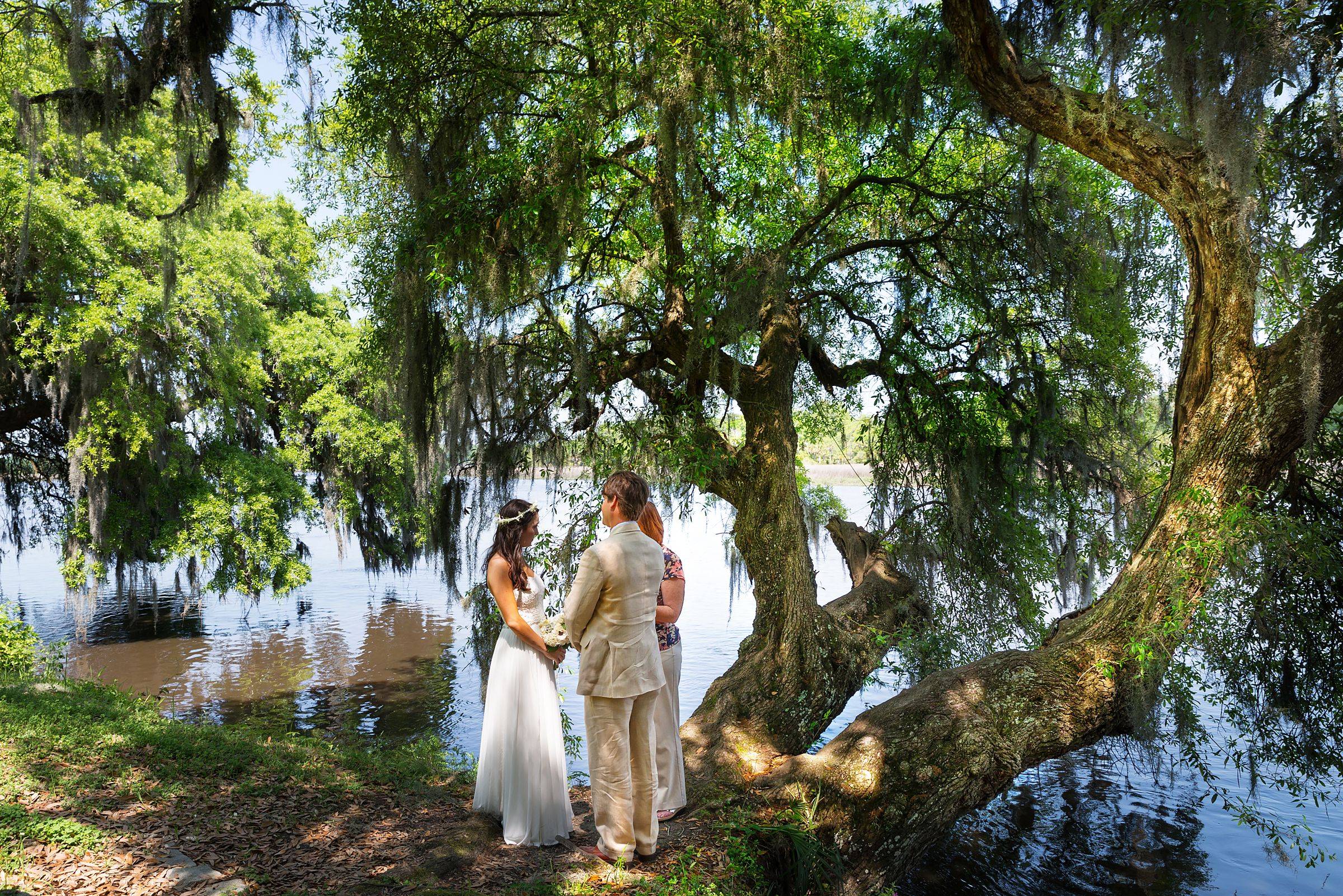 16 Magnolia Garden Charleston Ideas You Should Check | SharonSable