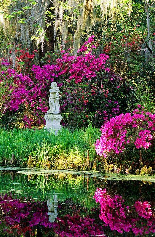 16 Magnolia Garden Charleston Ideas You Should Check | SharonSable
