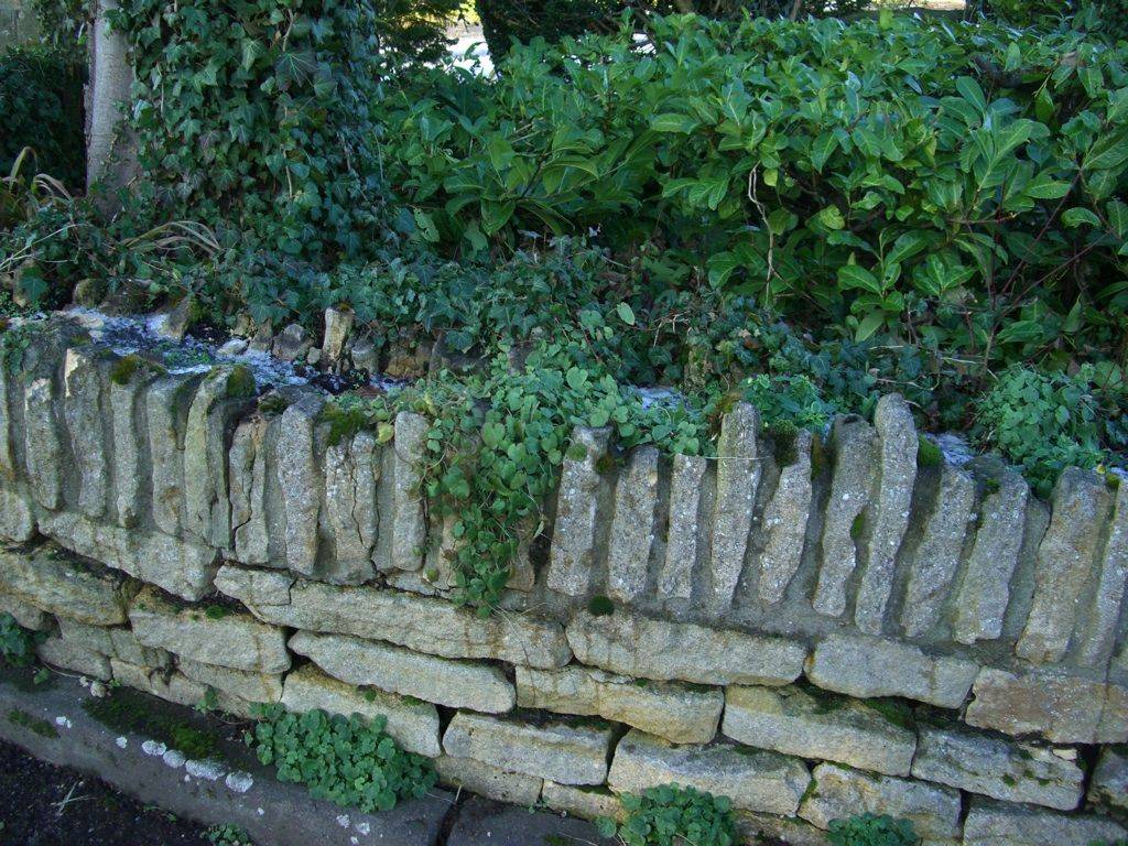 19 Medieval Walled Garden Ideas Worth to Check | SharonSable