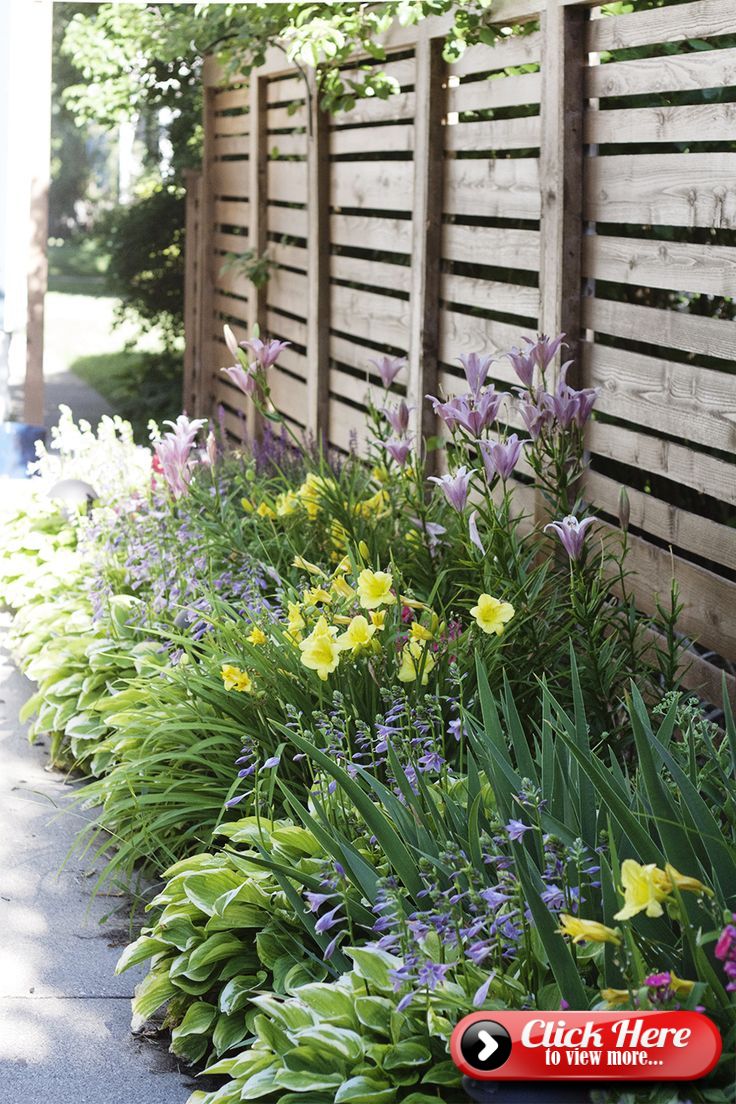 23 Part Sun Garden Ideas You Should Check | SharonSable