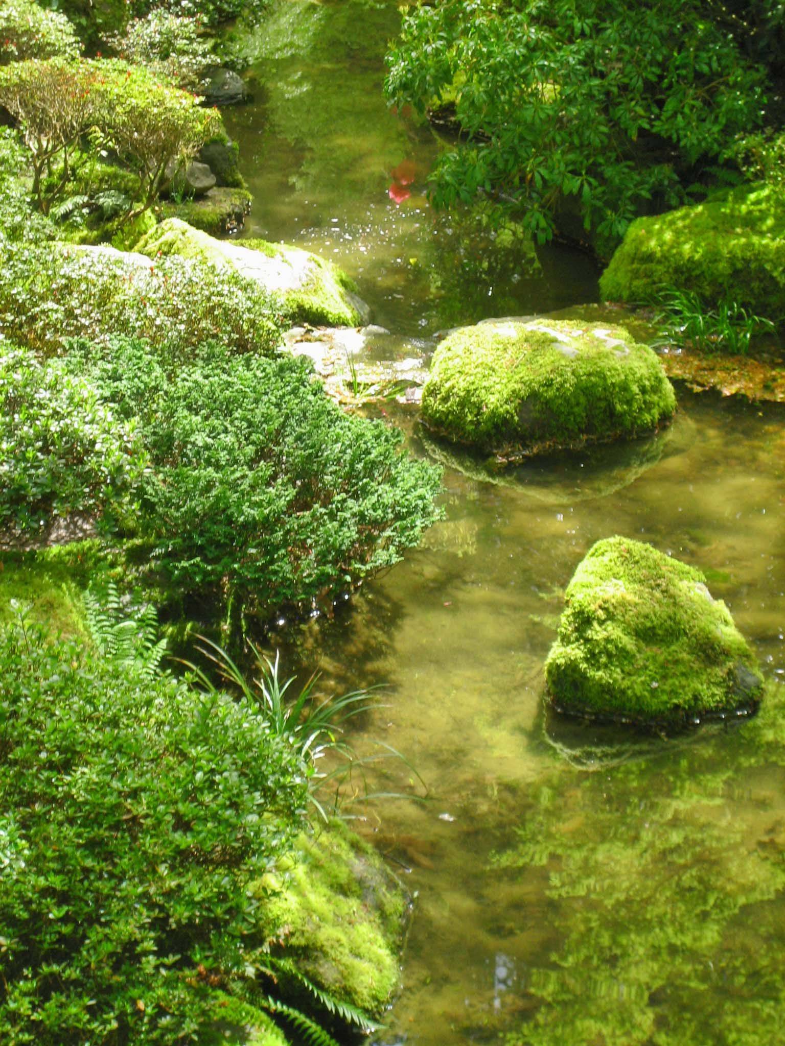 20 Shade Garden with Moss Ideas To Consider | SharonSable