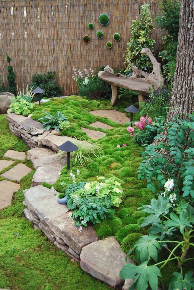 20 Shade Garden with Moss Ideas To Consider | SharonSable