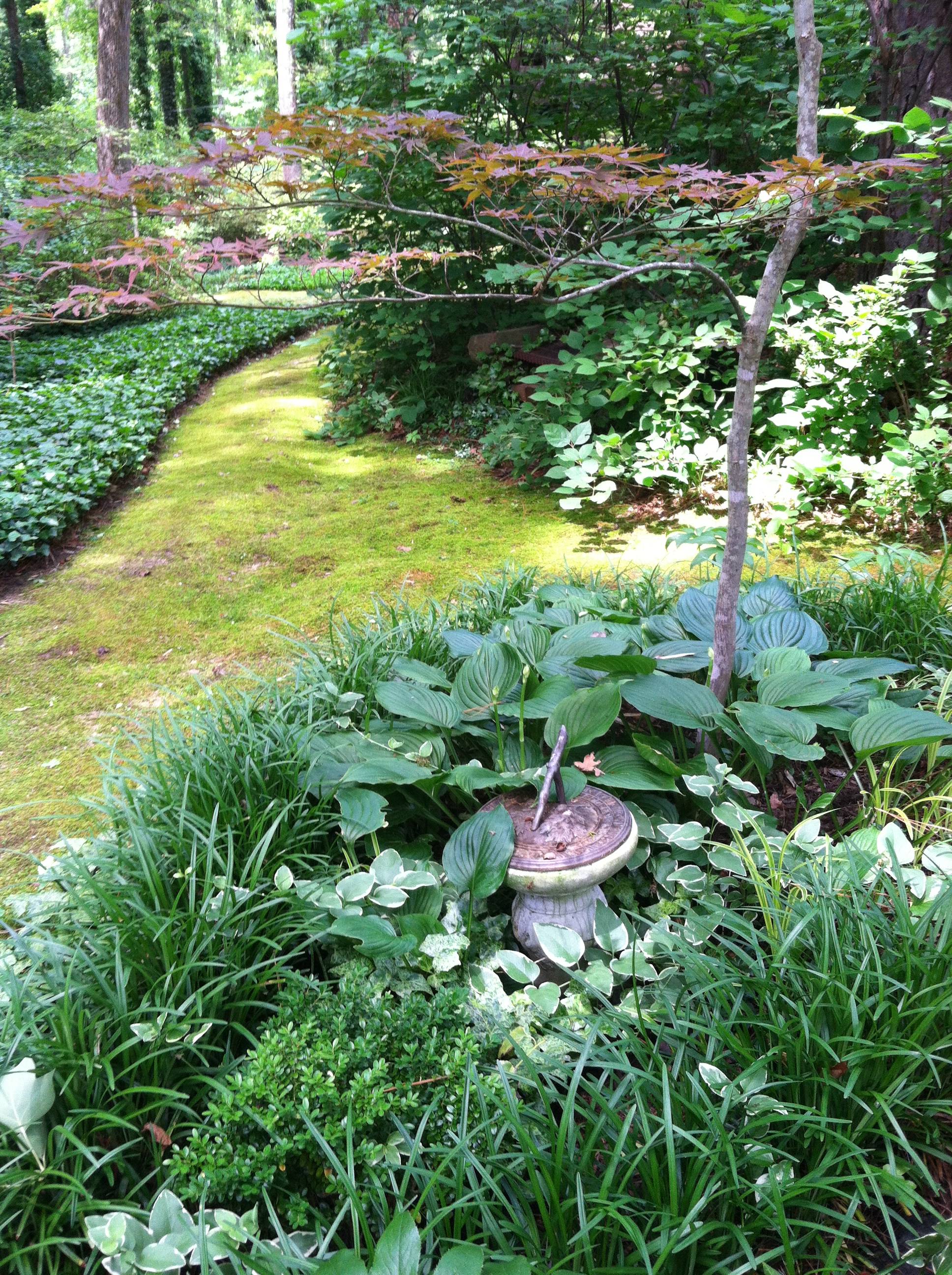 20 Shade Garden with Moss Ideas To Consider | SharonSable
