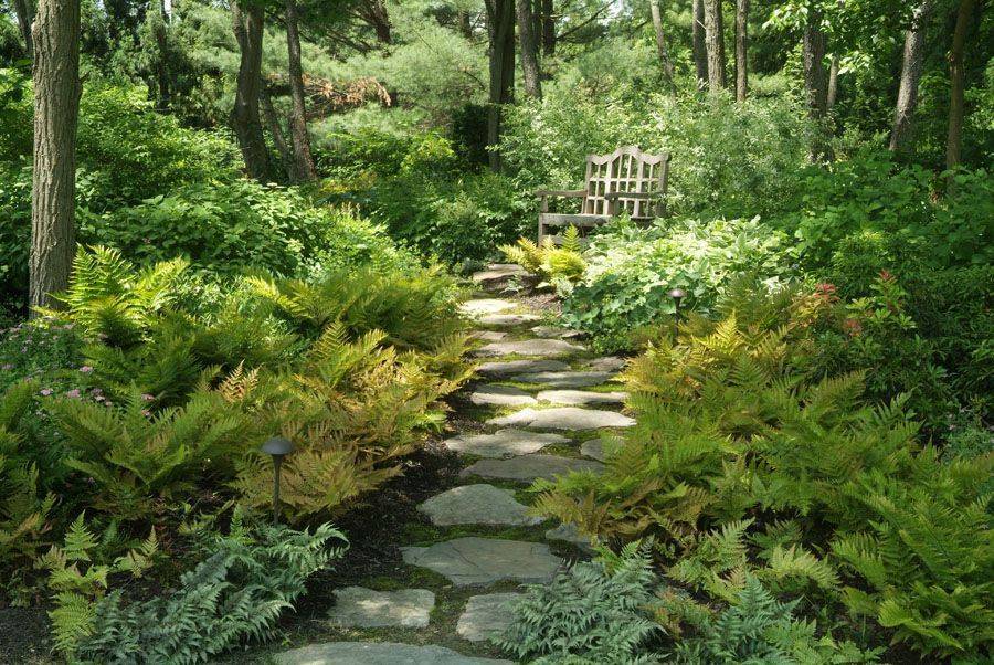 20 Shade Garden With Moss Ideas To Consider Sharonsable