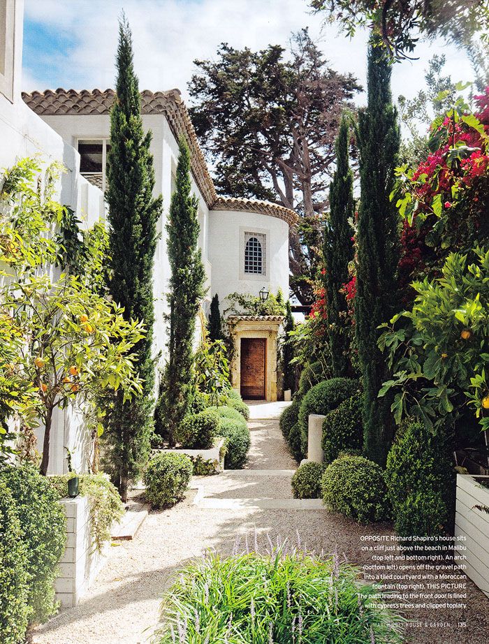 25 Garden Design with Italian Cypress Ideas You Should Check | SharonSable
