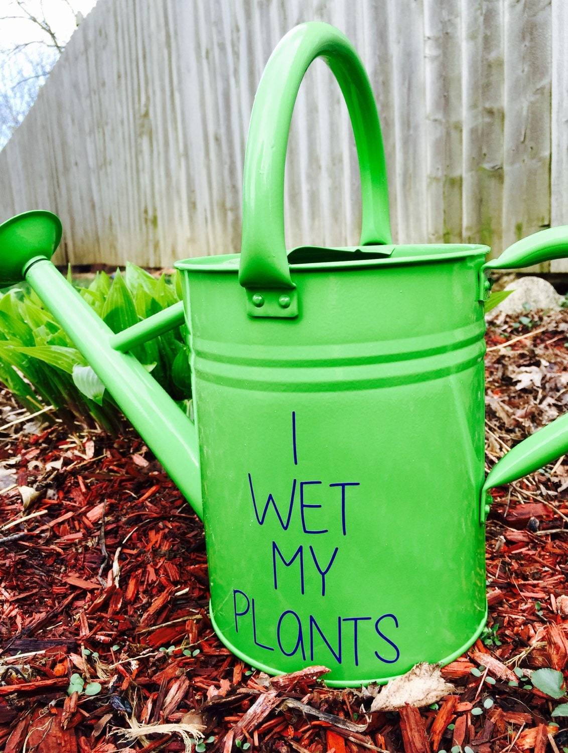14 Garden Watering Can Ideas To Consider | SharonSable