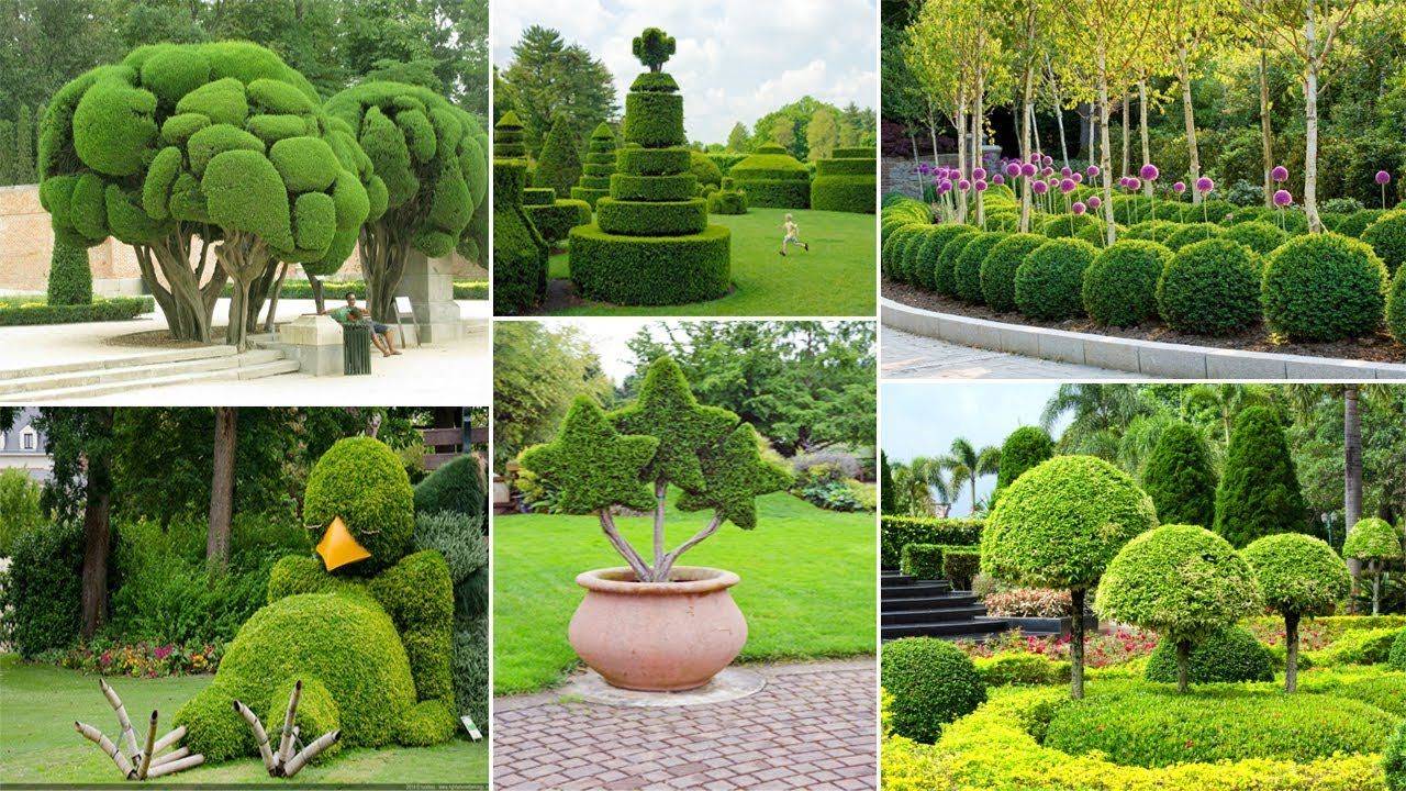 19 Topiary Garden Design Ideas You Gonna Love | SharonSable