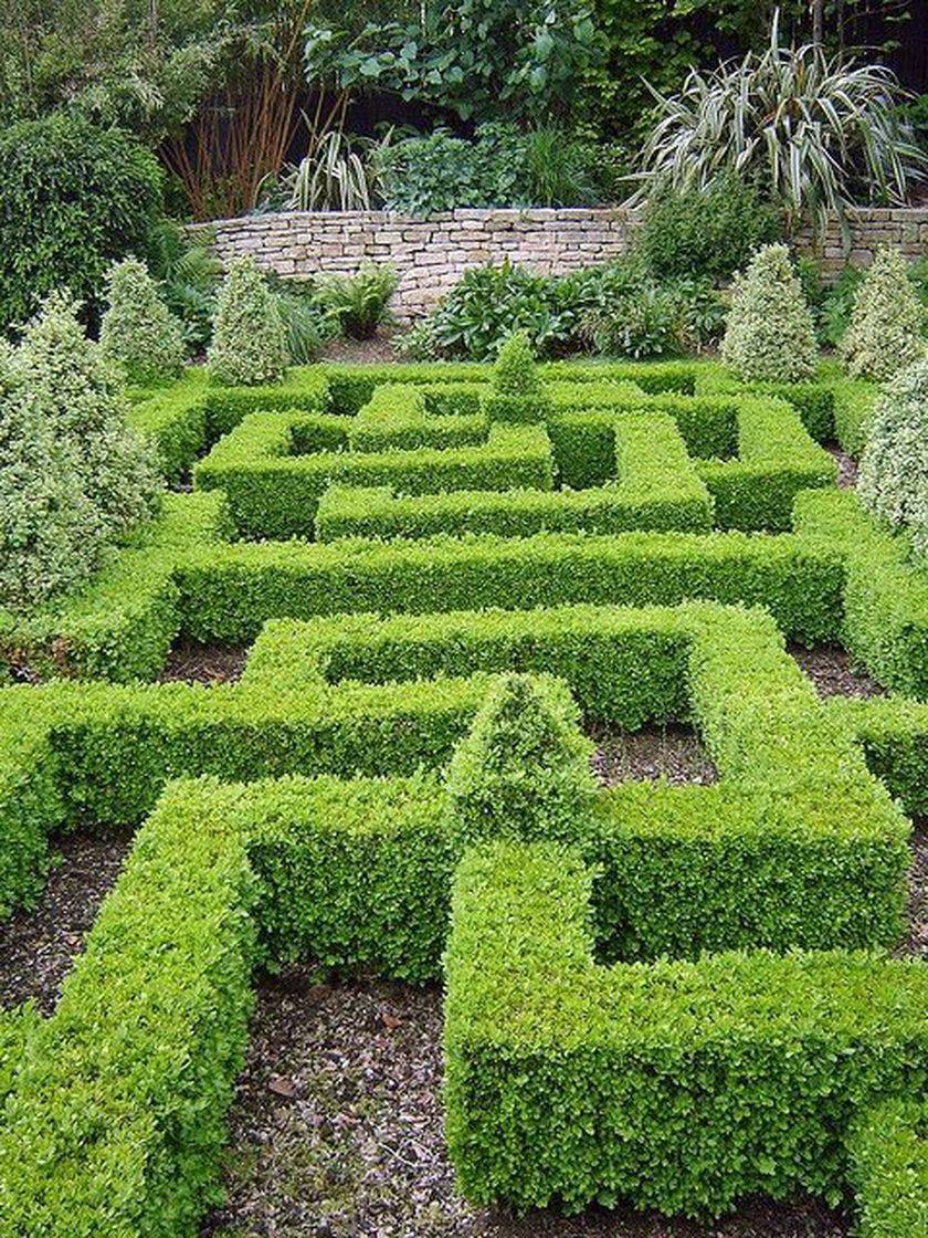 19 Topiary Garden Design Ideas You Gonna Love | SharonSable
