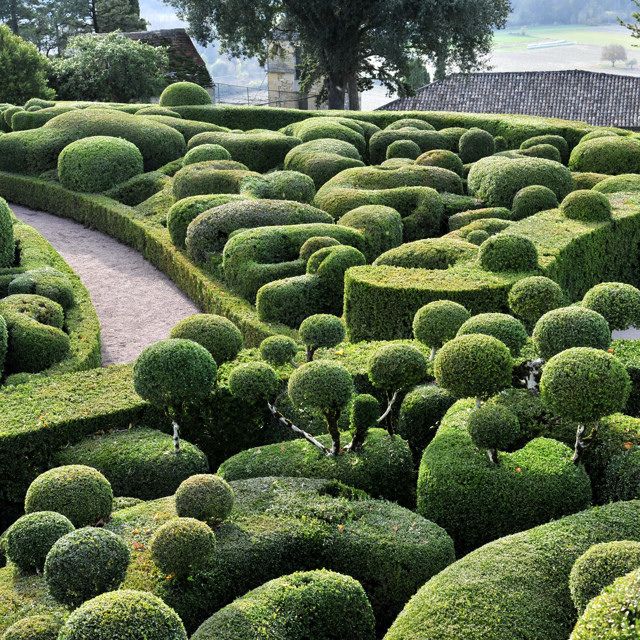 19 Topiary Garden Design Ideas You Gonna Love | SharonSable